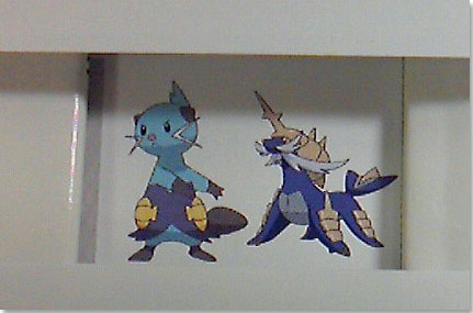 Fennekin Final Evolution Leak