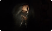 Nintendo DS Survival Horror Title, Dementium II, Is Coming To PC ...