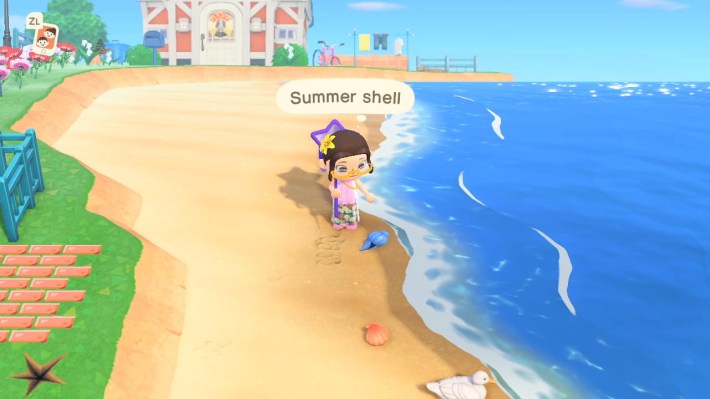Animal Crossing: New Horizons Summer Shells Are Now Available
