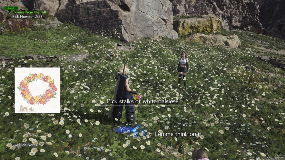 Here Are Which Flowers to Pick for FFVII Rebirth Flowers From the Hill